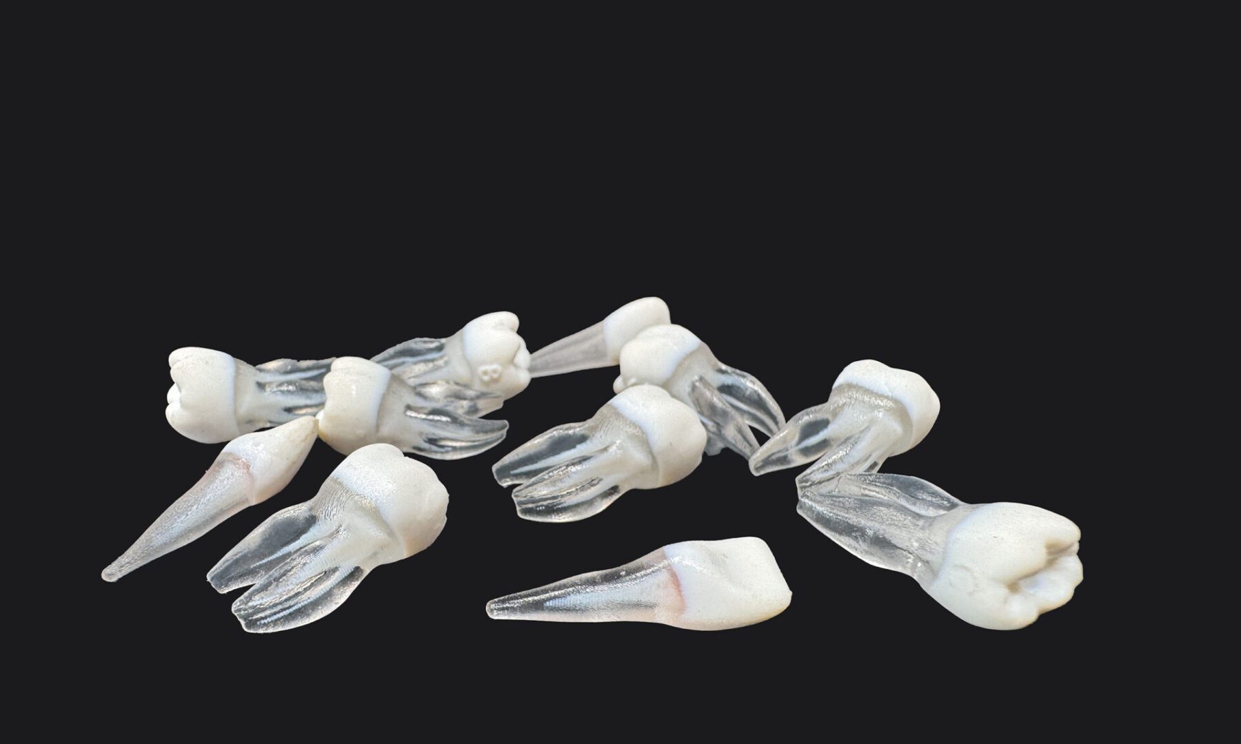 Creating Realistic Dental Training Teeth - Mouse